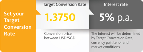 Dual Currency Investment